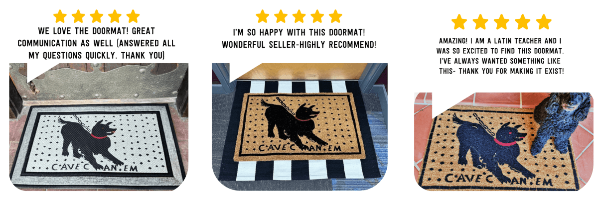 Damn Good Doormats: Art you can wipe your feet on!